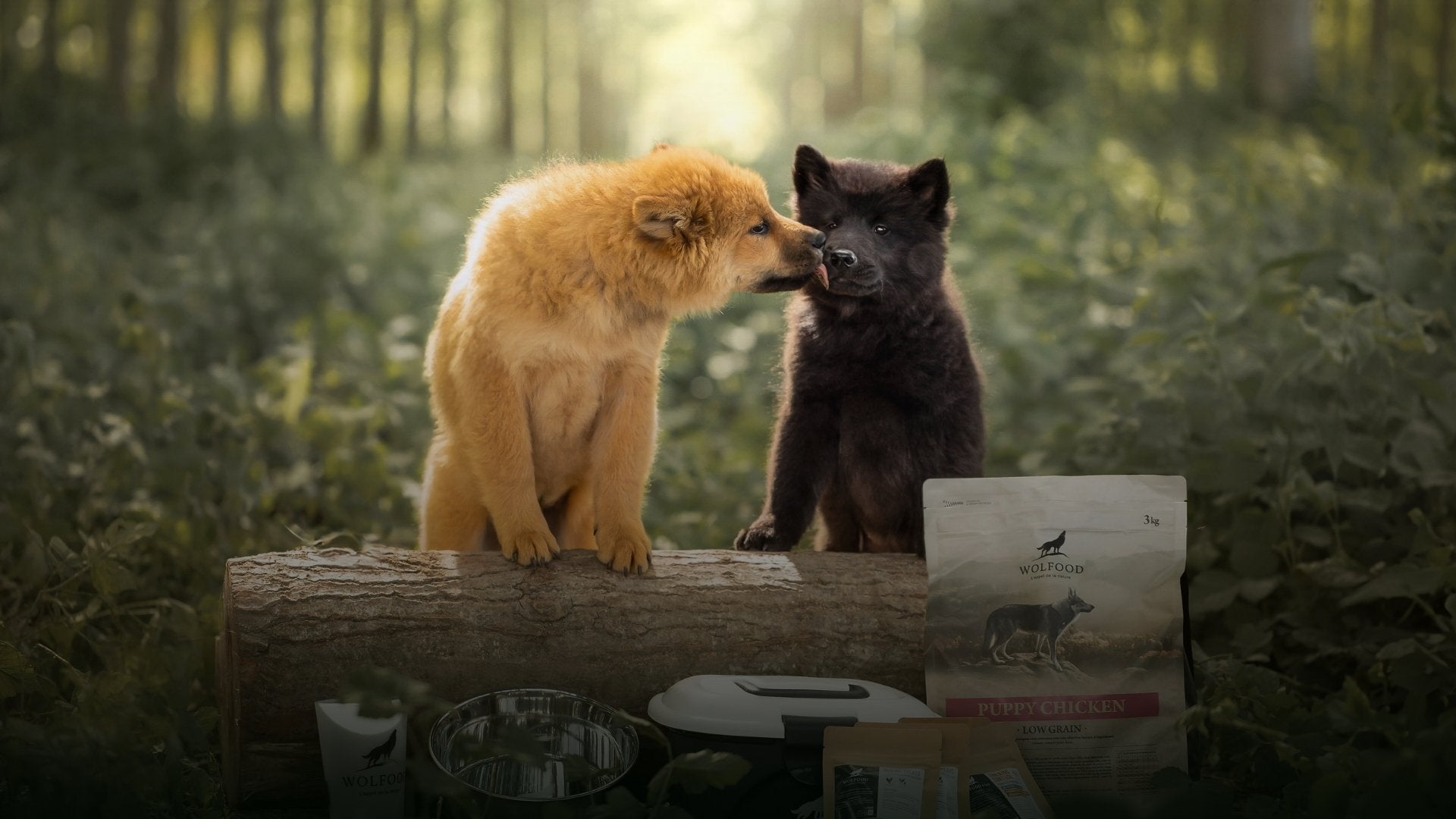 Chiot, troubles digestifs et giardiose : tout savoir – Nourrir comme la ...