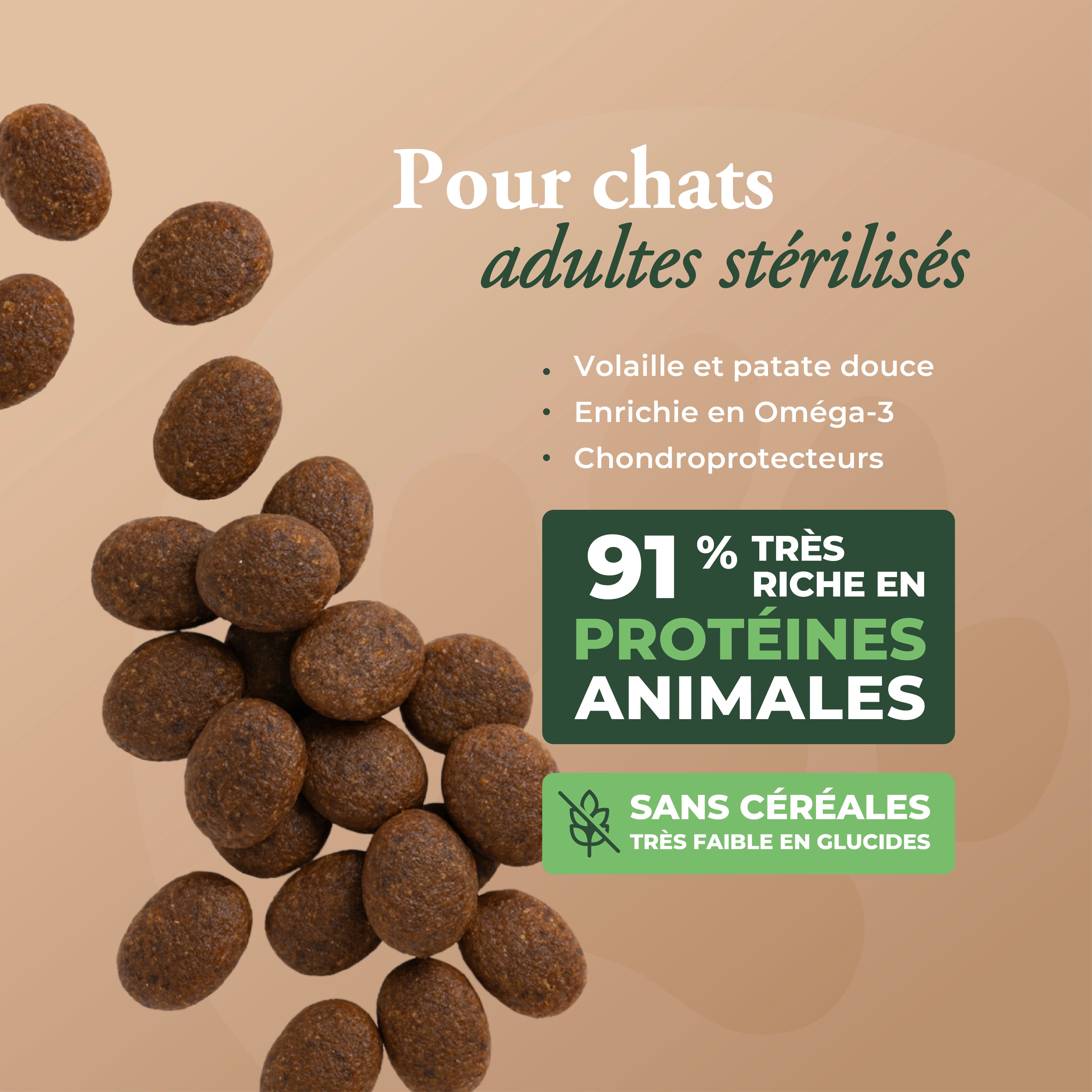 Croquette chat - Toutes les croquettes pour Chat – Nourrir comme la nature