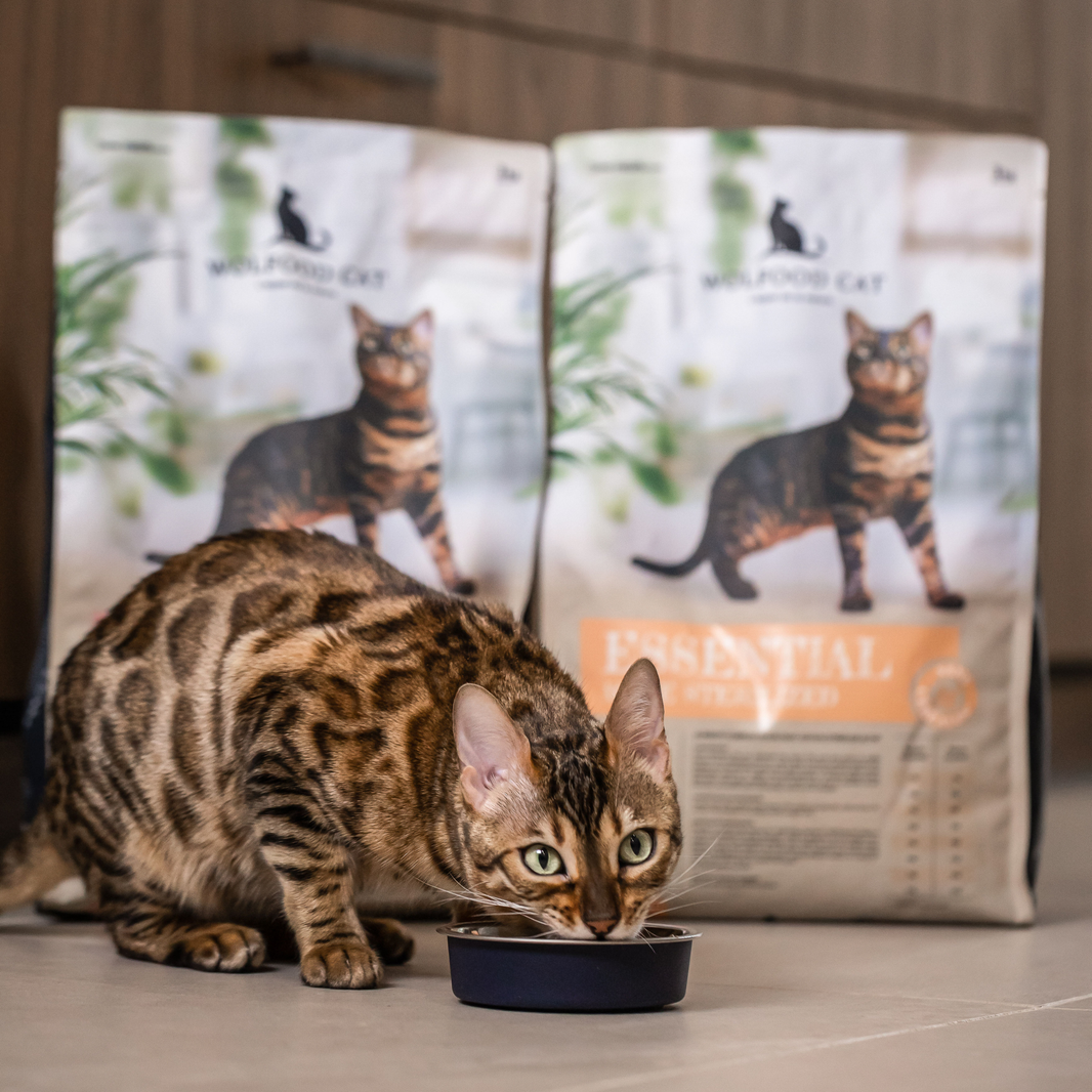 Croquette chat - Toutes les croquettes pour Chat – Nourrir comme la nature
